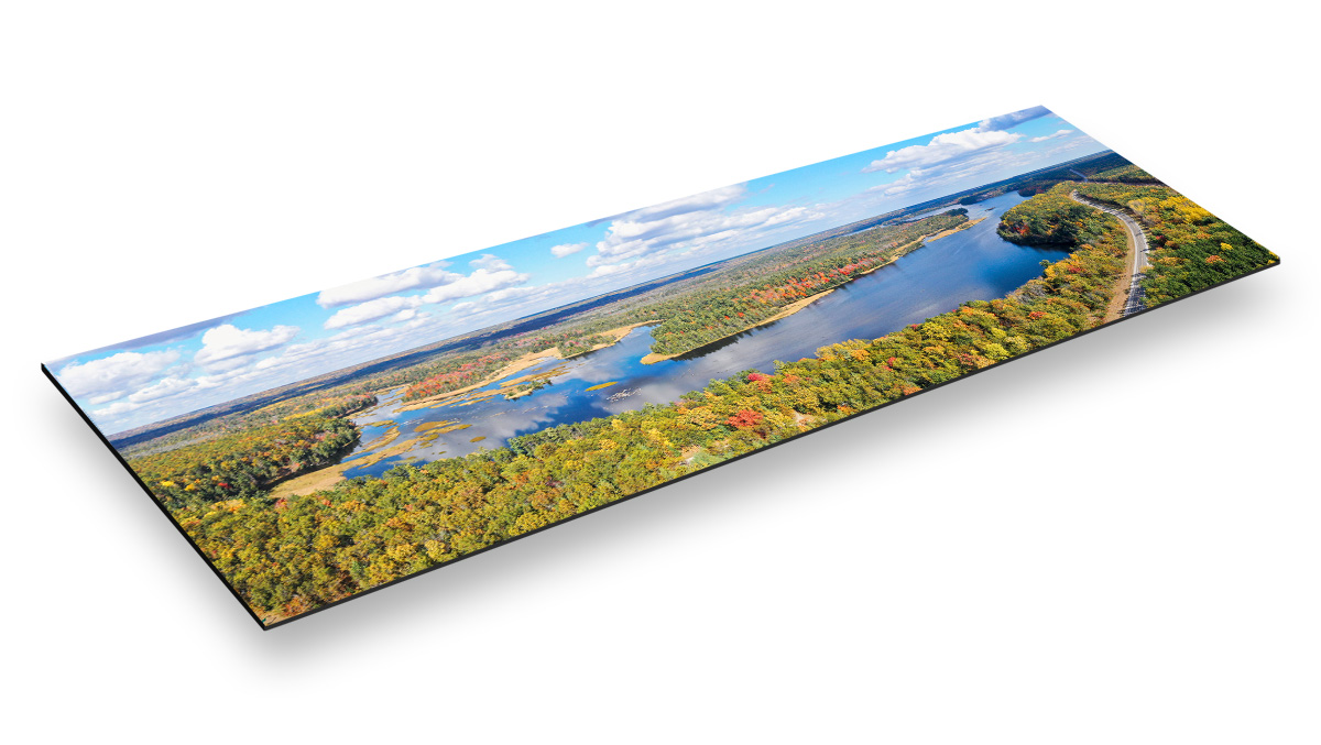 Order Prints ~ Dyer Drone