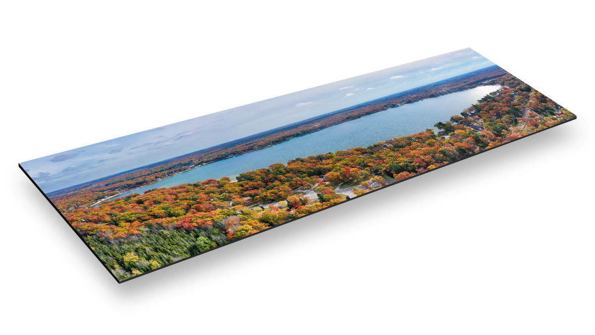 Order Prints ~ Dyer Drone